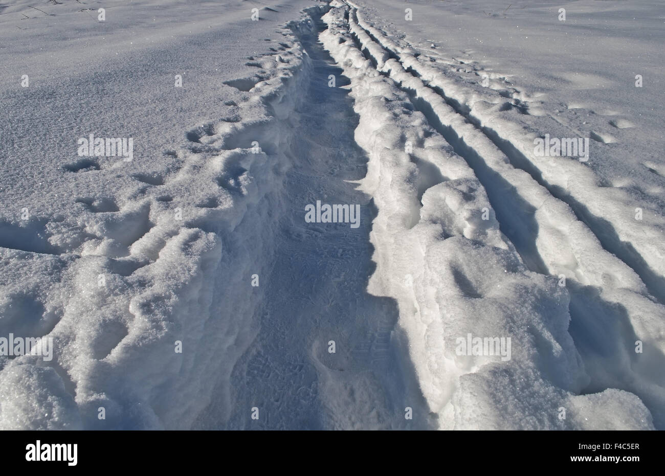Path in snow Stock Photo - Alamy