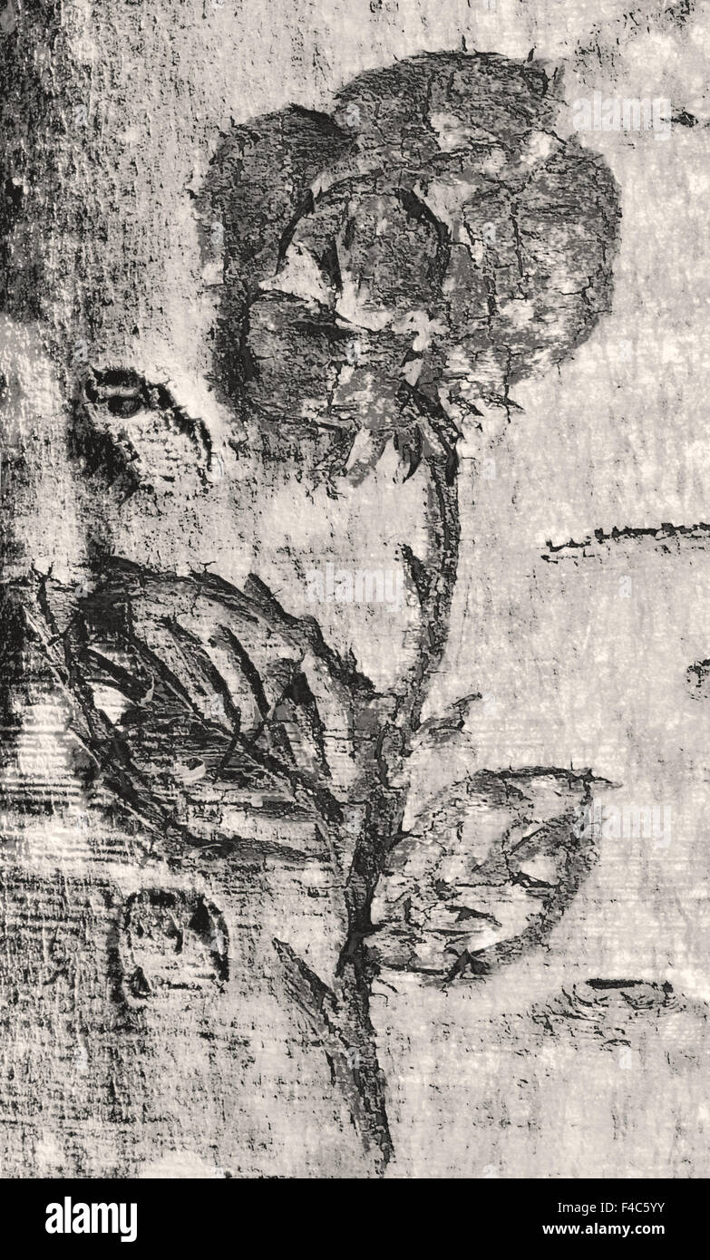 Flower in the tree carved black and white Stock Photo - Alamy