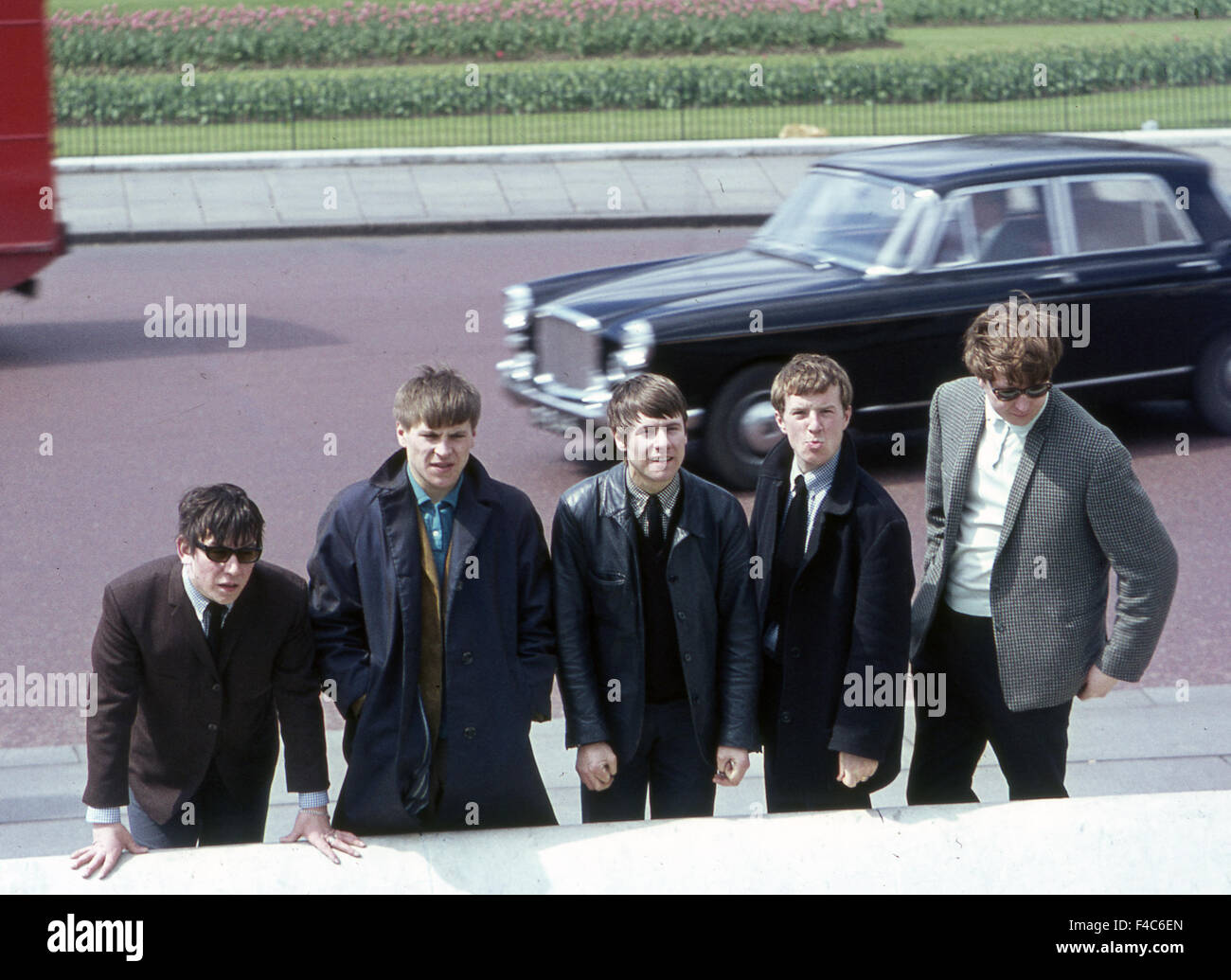 The animals alan price hi-res stock photography and images - Alamy