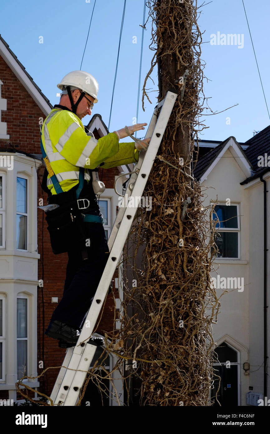 telecoms engineer working from telegraph pole uk Stock Photo - Alamy
