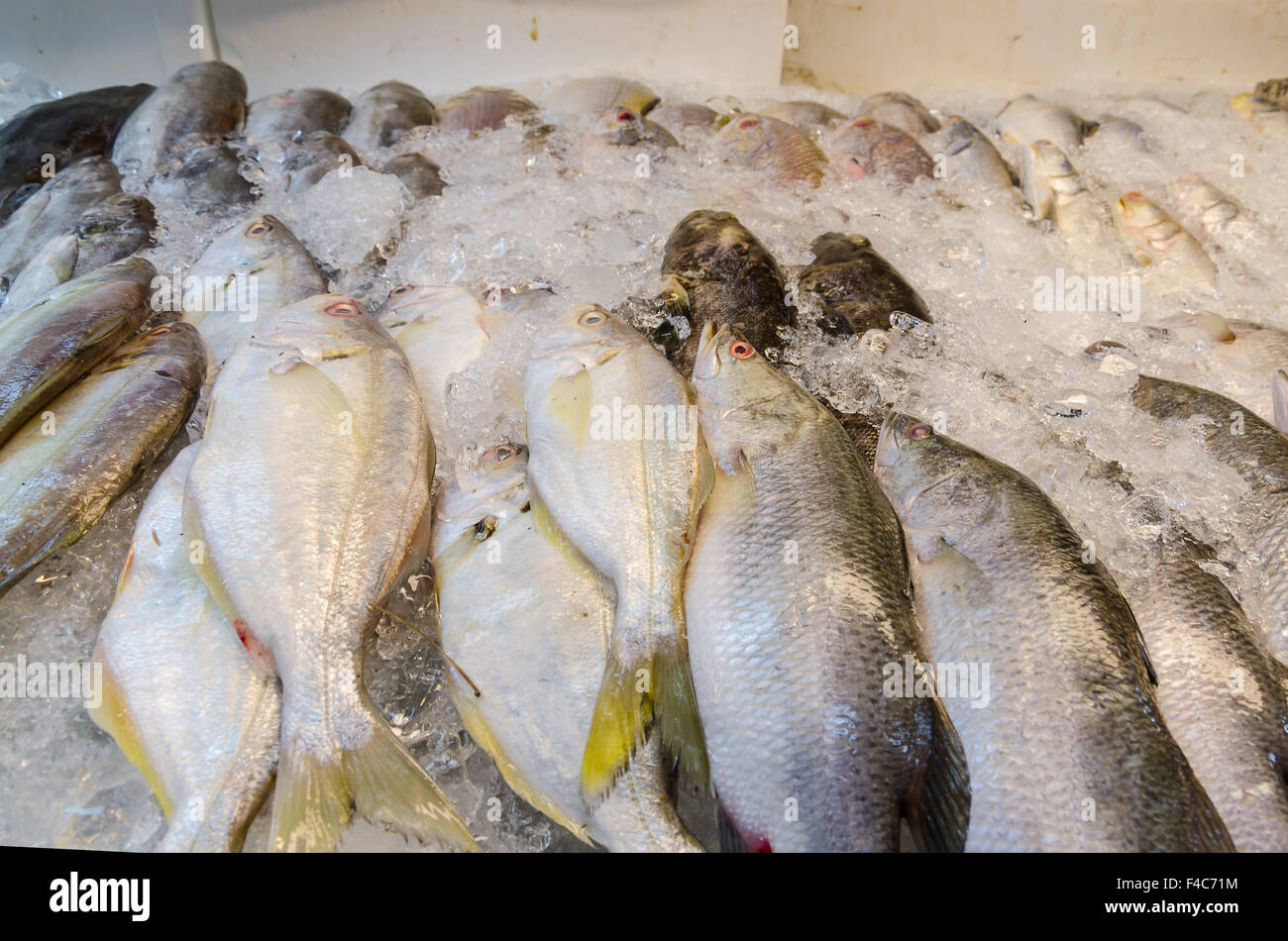 Lunch on ice hi-res stock photography and images - Alamy
