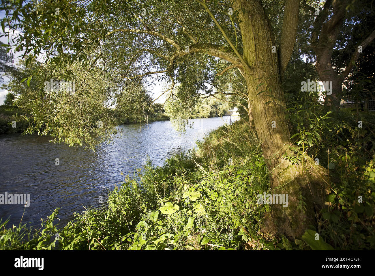 Schwerte hi-res stock photography and images - Alamy