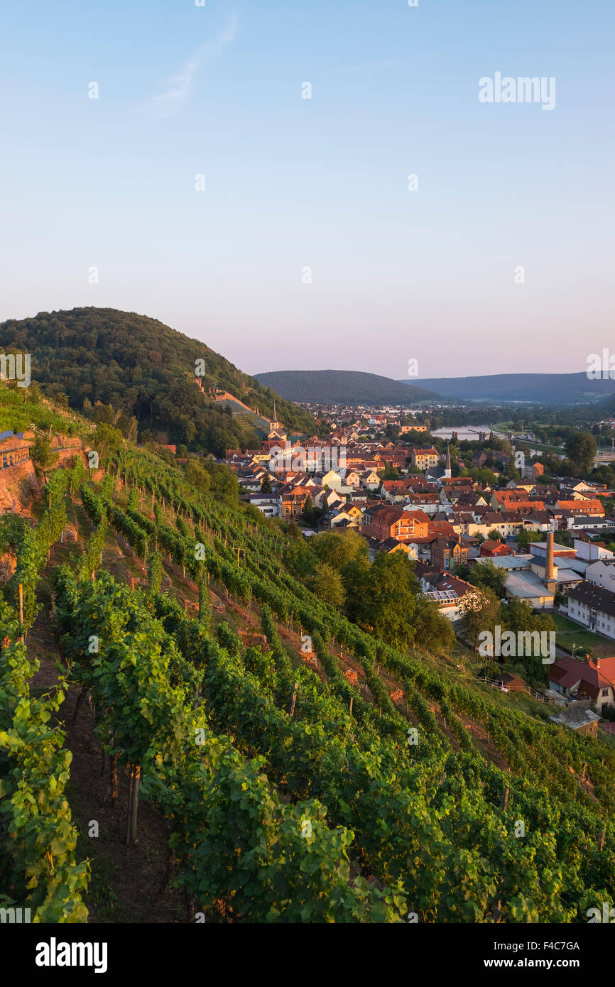 Klingenberg castle hi-res stock photography and images - Alamy