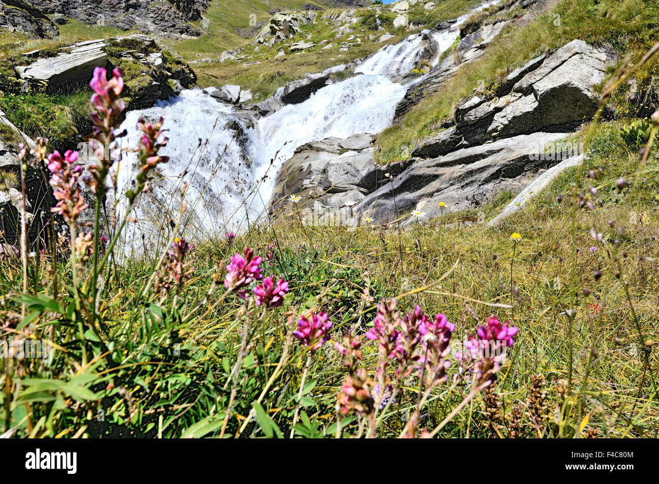 Waterfall, runnel in the French Alps, Park National de la Vanoise ...