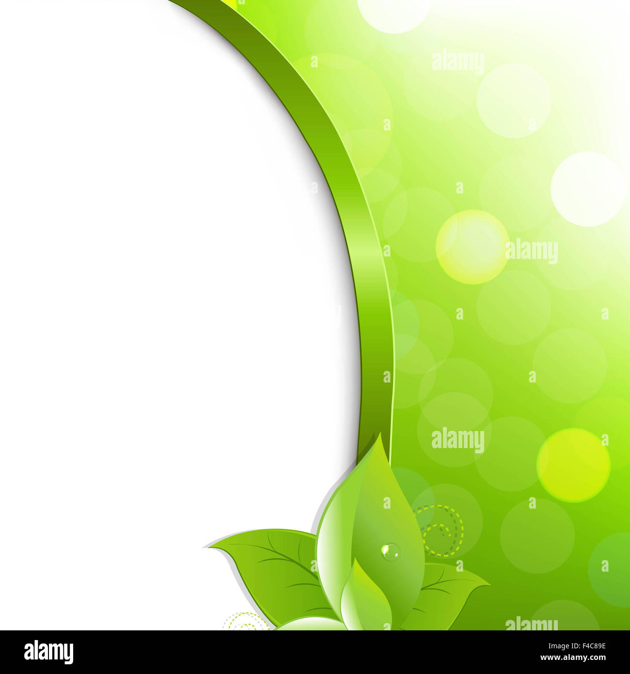 Green Eco Poster With Leaves Stock Photo - Alamy