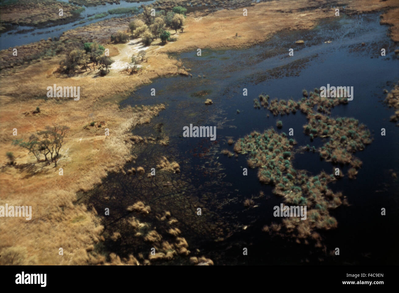 Botswana, Okavango Delta, Aerial View of River landscape (Large format ...