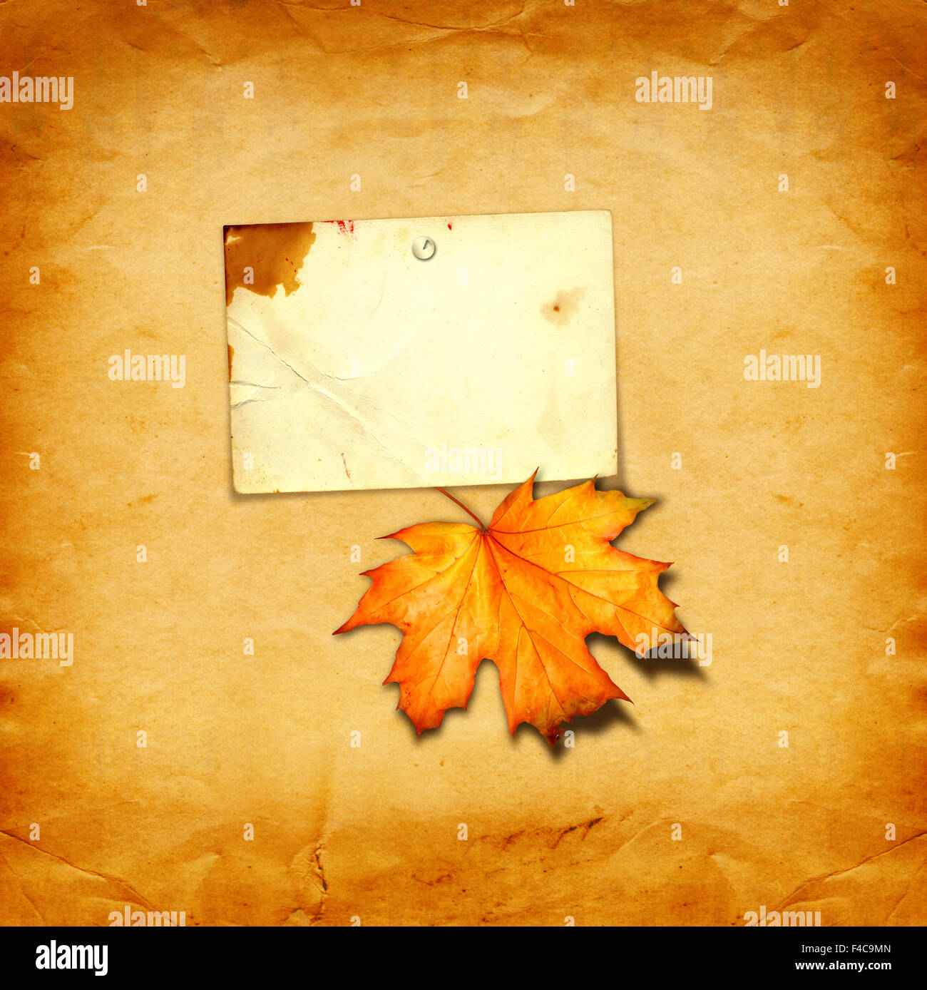 Grunge paper design in scrapbooking style with photoframe and autumn ...