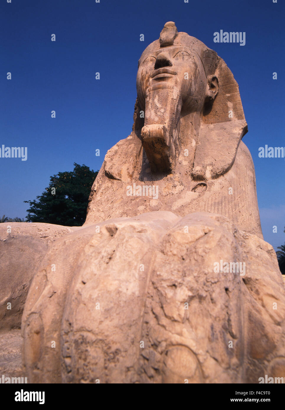 Egypt, Giza, Sculpture of Great Sphinx (Large format sizes available ...