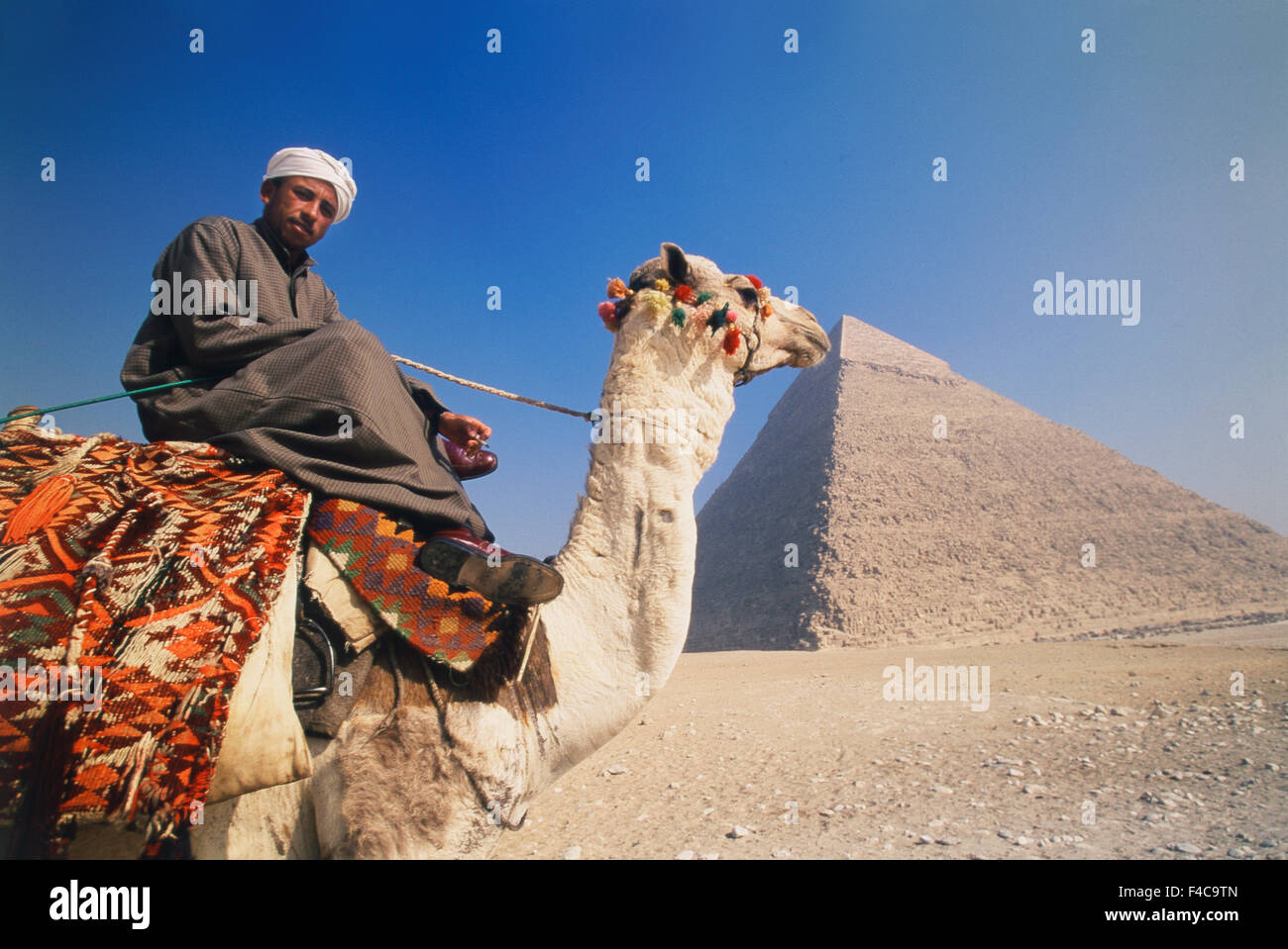 Egypt, Cairo, Giza, Giza Pyramids and Camel Rider. (Large format sizes ...