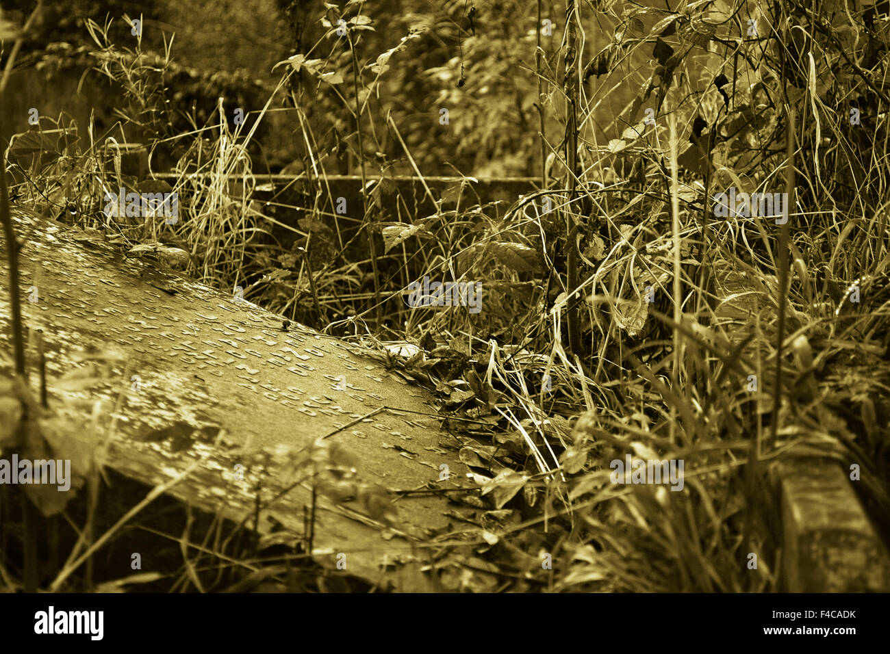 Lonely grave hi-res stock photography and images - Alamy