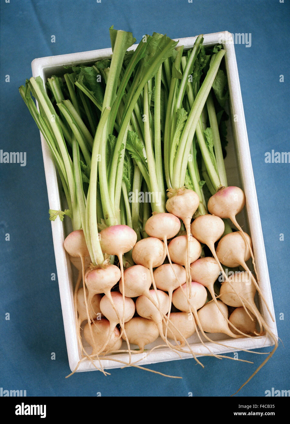 Onions in a Box Stock Photo - Alamy