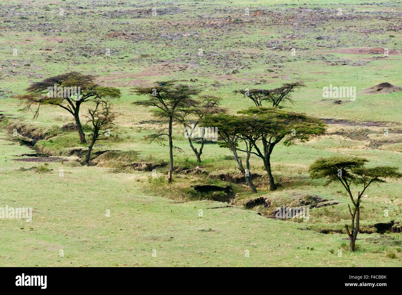 Clouds above maasai mara hi-res stock photography and images - Alamy