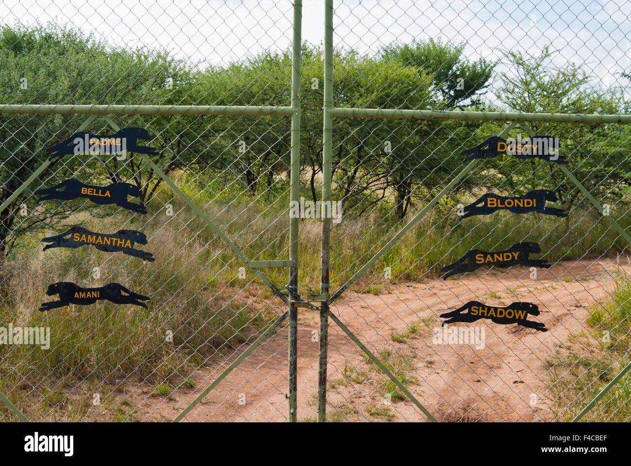 Cheetah Conservation Fund (CCF) Research and Education Centre ...