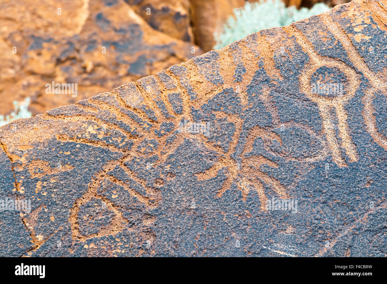 Petroglyphs or rock engravings, Twyfelfontein, UNESCO World Heritage ...