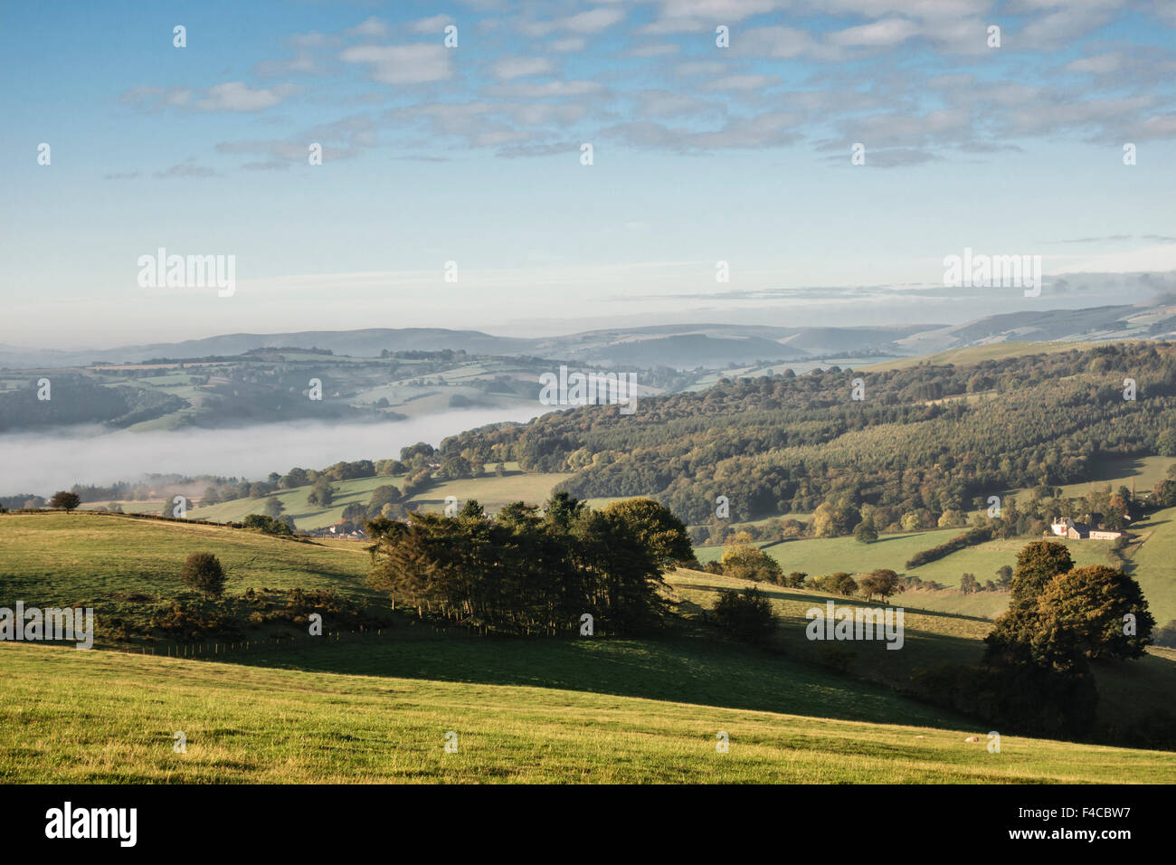 Welsh border hi-res stock photography and images - Alamy