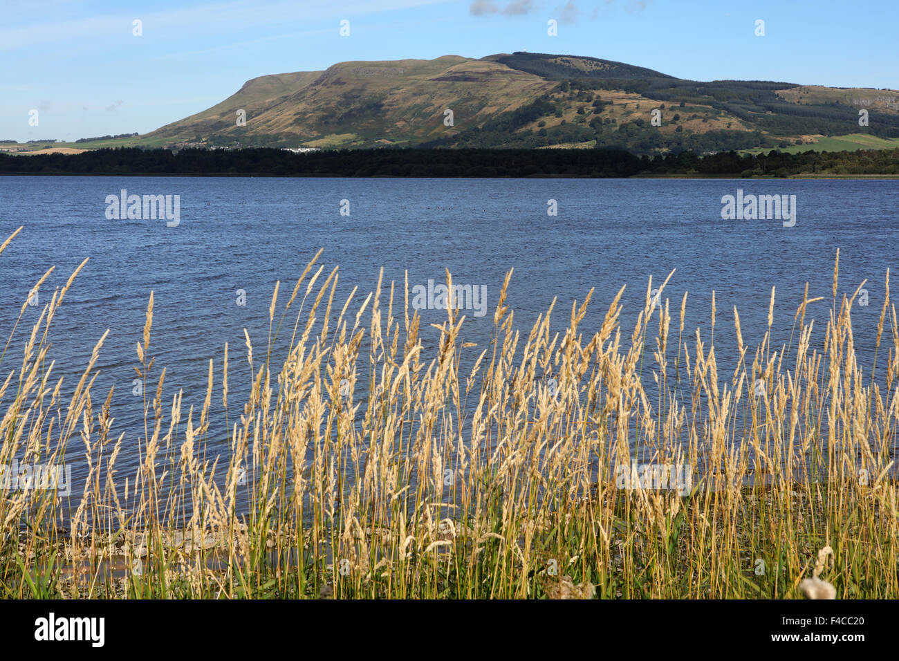 Loch leven heritage trail hi-res stock photography and images - Alamy