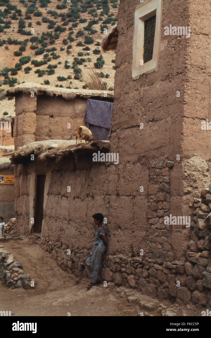 Morocco, Berber Village, Boy leaning on wall and looking away. (Large ...