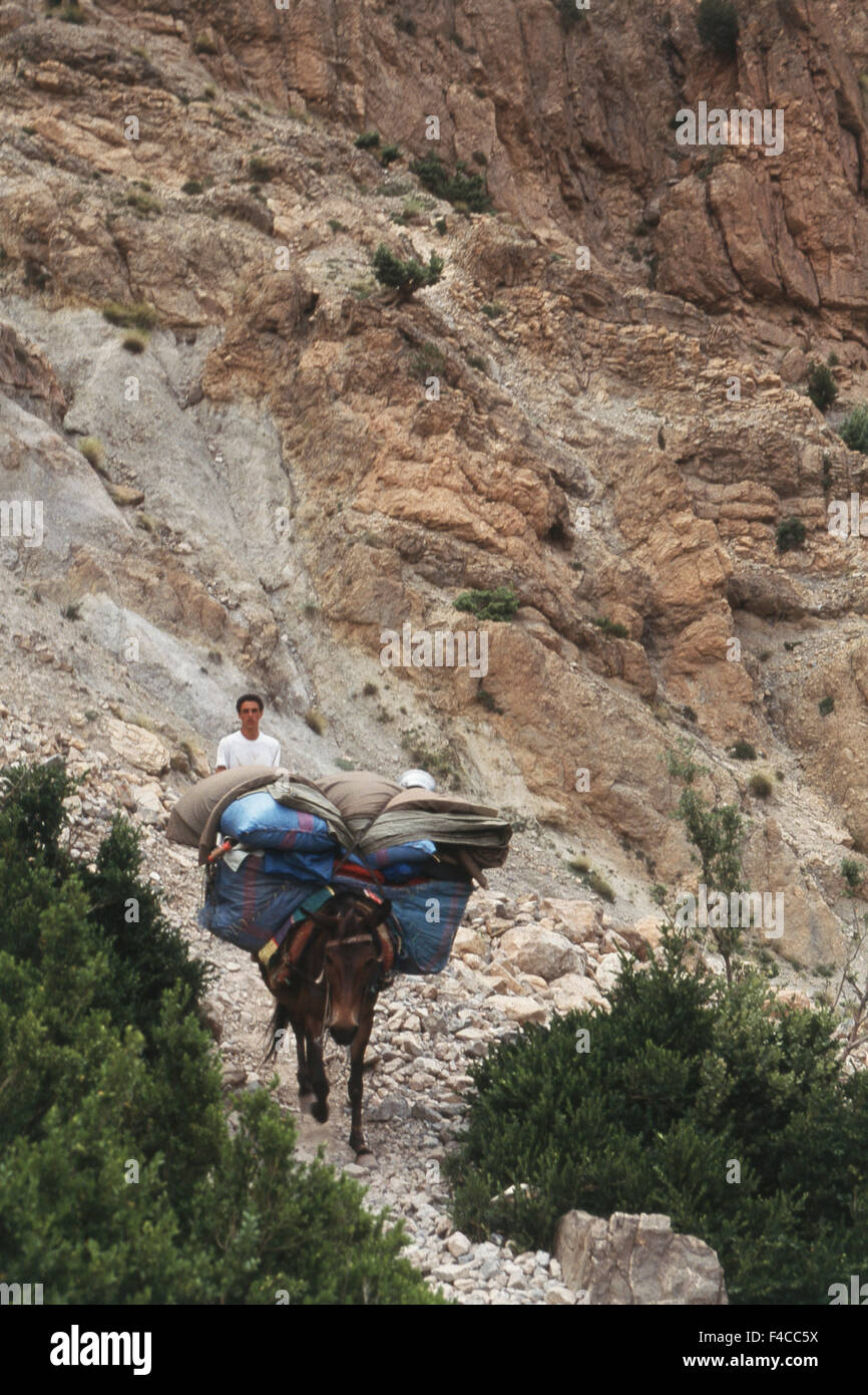 Morocco, Man walking with Donkey in Atlas Mountains. (Large format ...