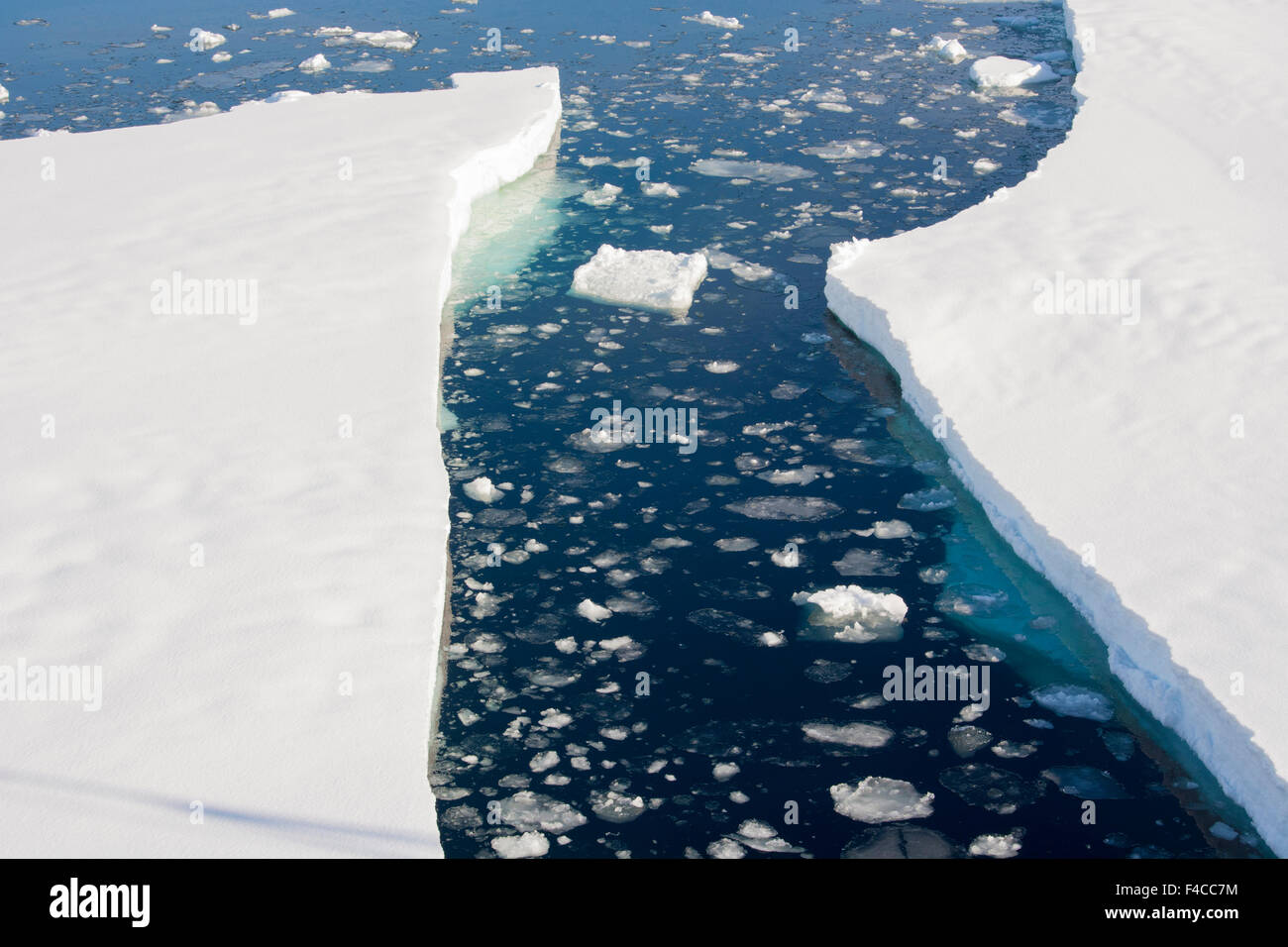 Antarctica. Near Adelaide Island. Pancake ice forming in an open lead ...