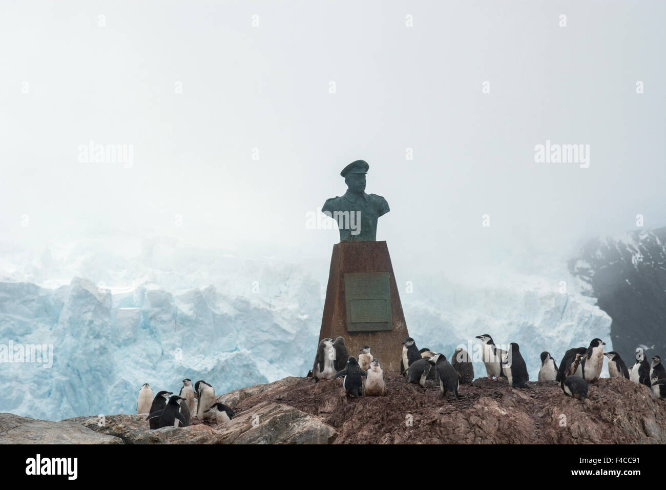 Captain antarctica hi-res stock photography and images - Alamy