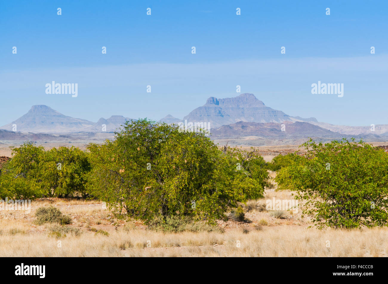 Damaraland, Kunene Region, Namibia Stock Photo - Alamy