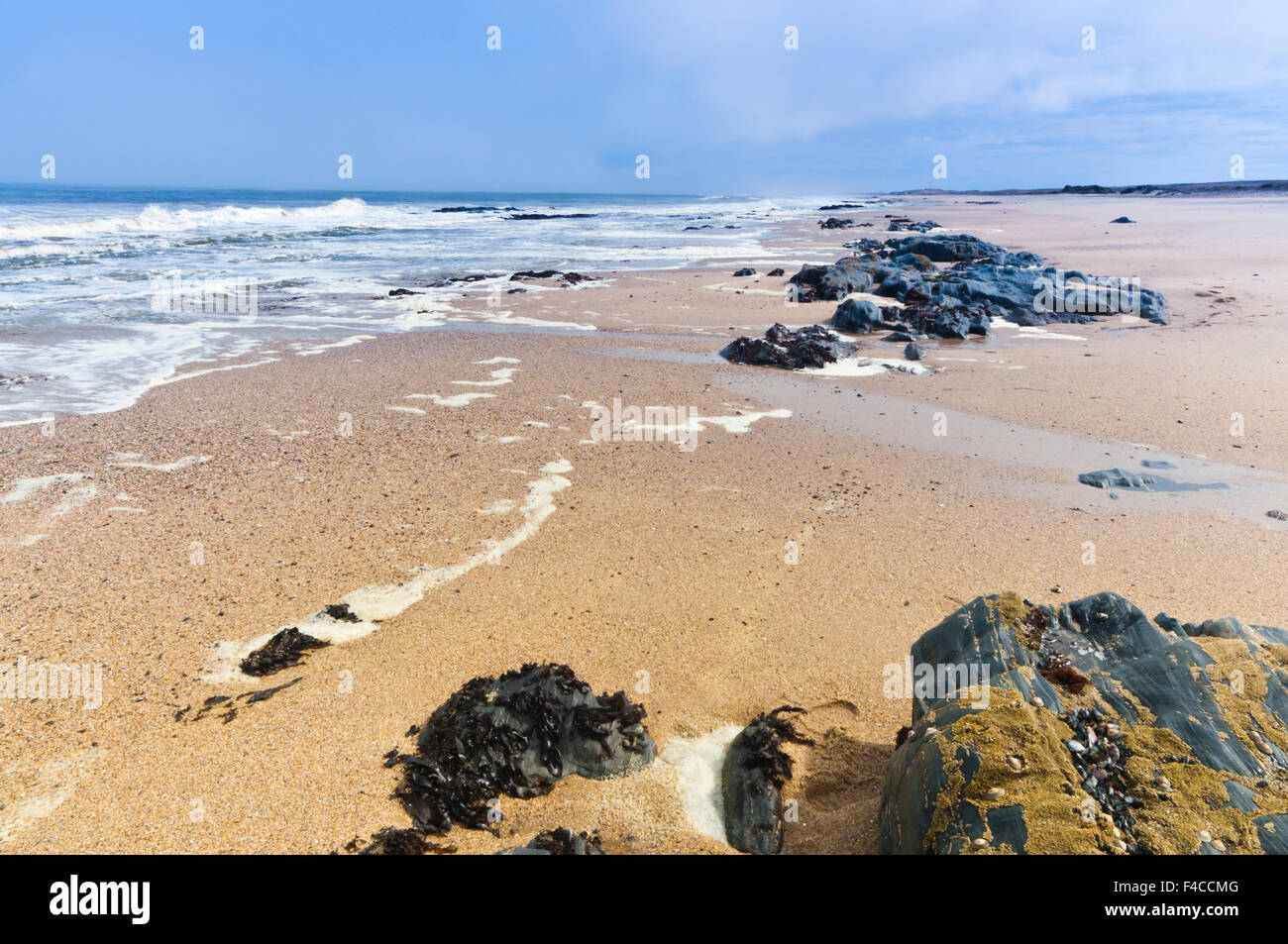 Skeleton Coast, Namib Desert, Namibia Stock Photo - Alamy