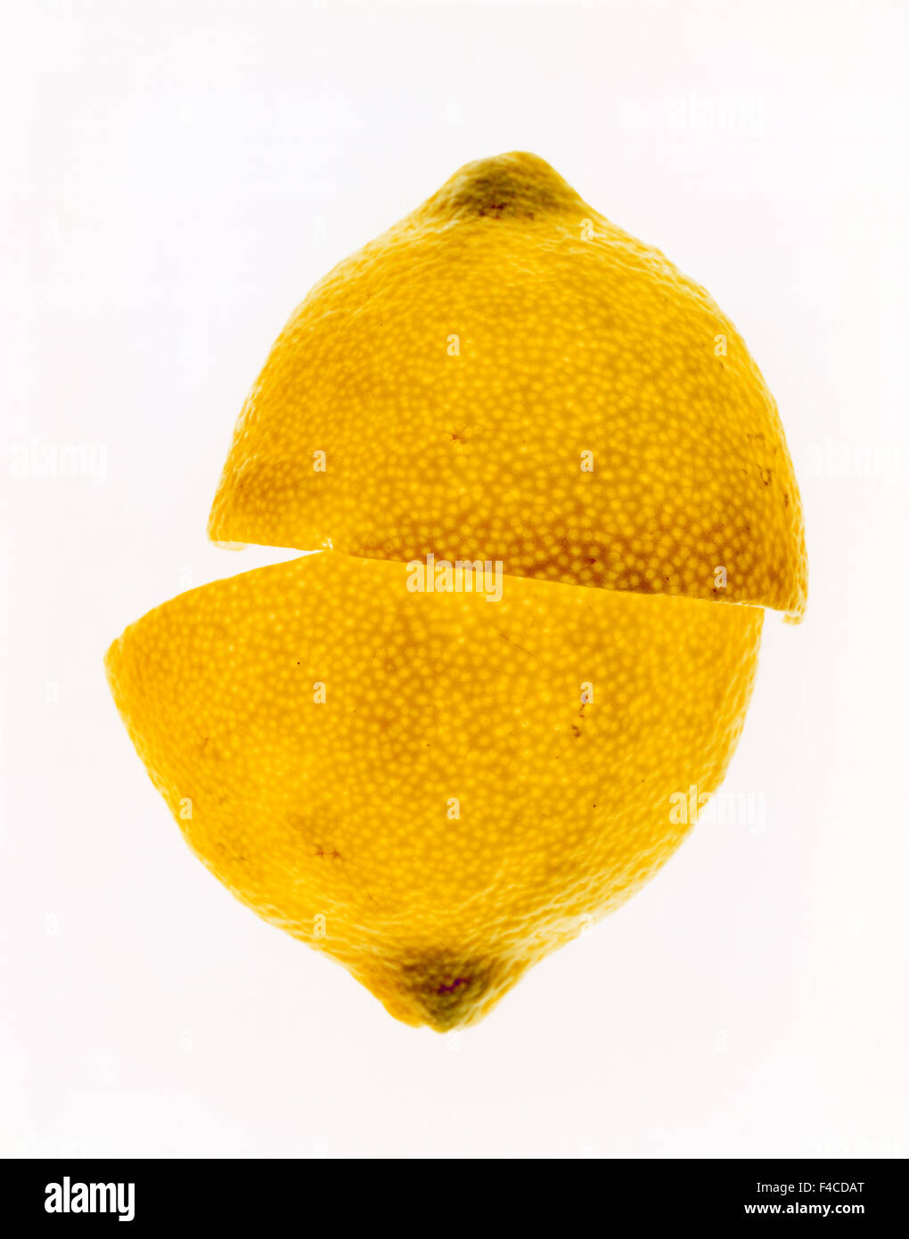 Two lemon halves on a white background Stock Photo - Alamy
