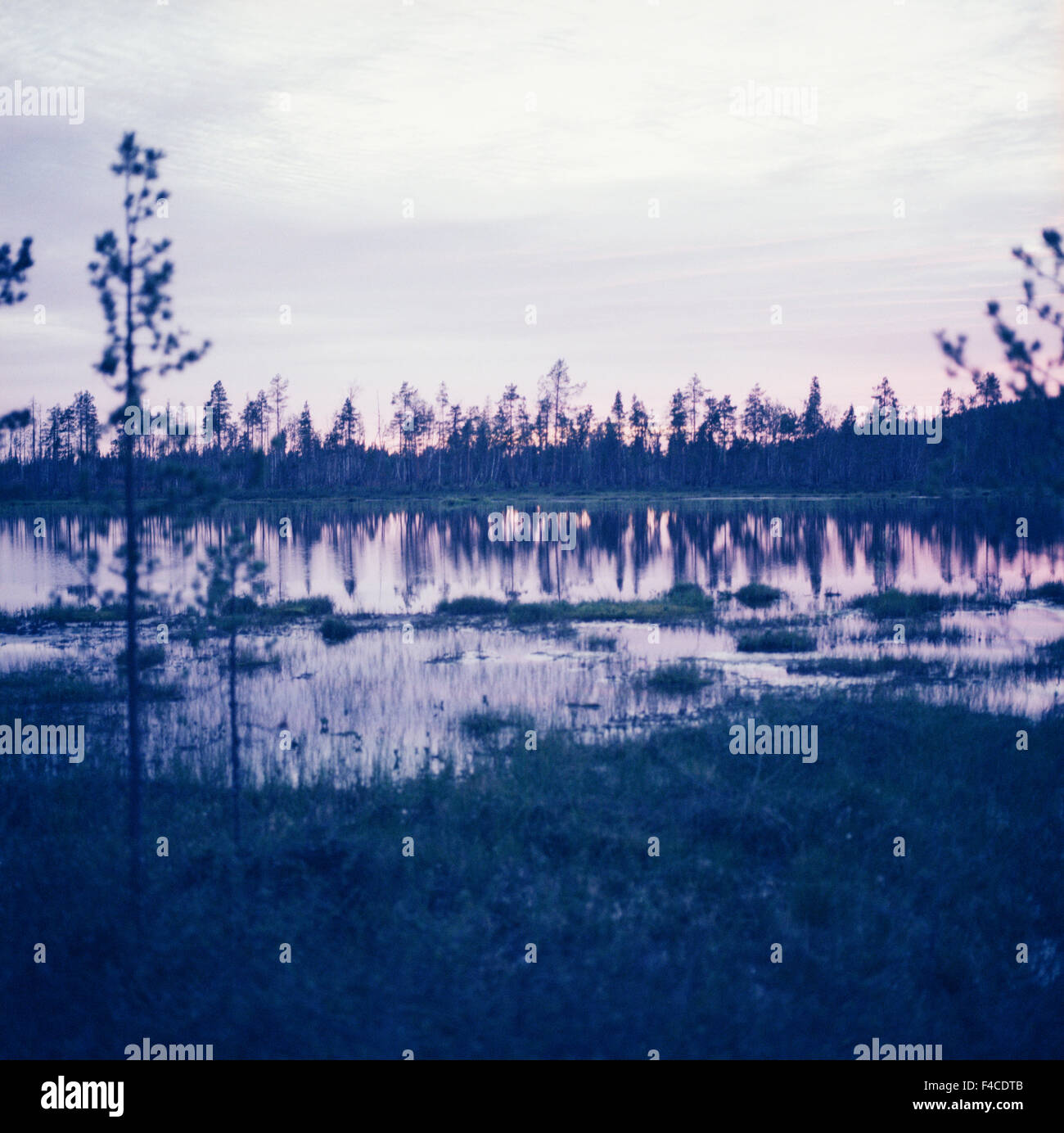 Spooky lake scandinavia hi-res stock photography and images - Alamy