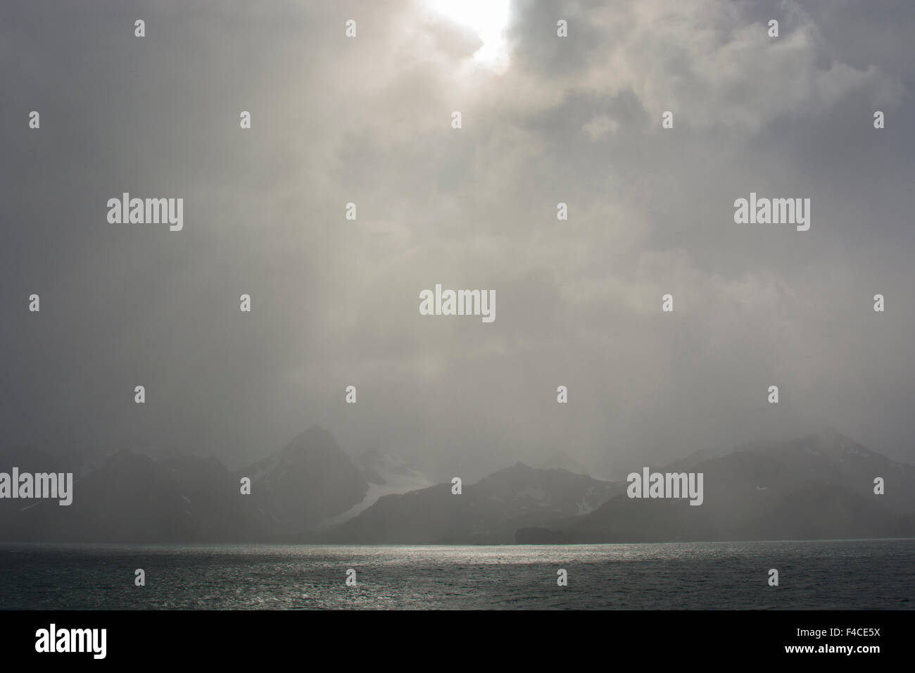 South Georgia. Shore obscured by a sudden storm of katabatic winds ...