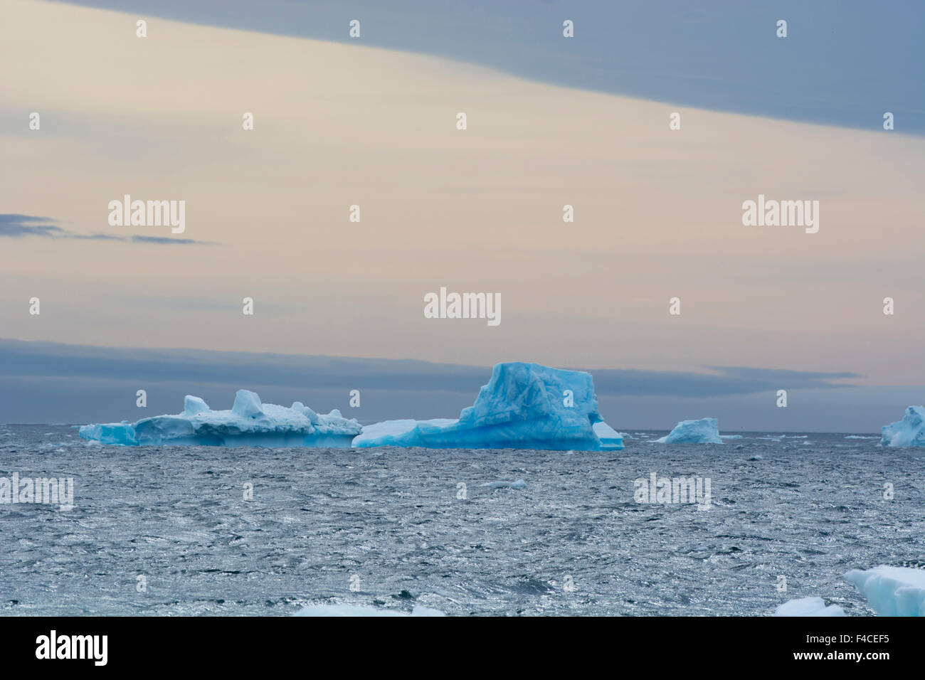 Antarctica. Brown Bluff. Bright blue iceberg Stock Photo - Alamy