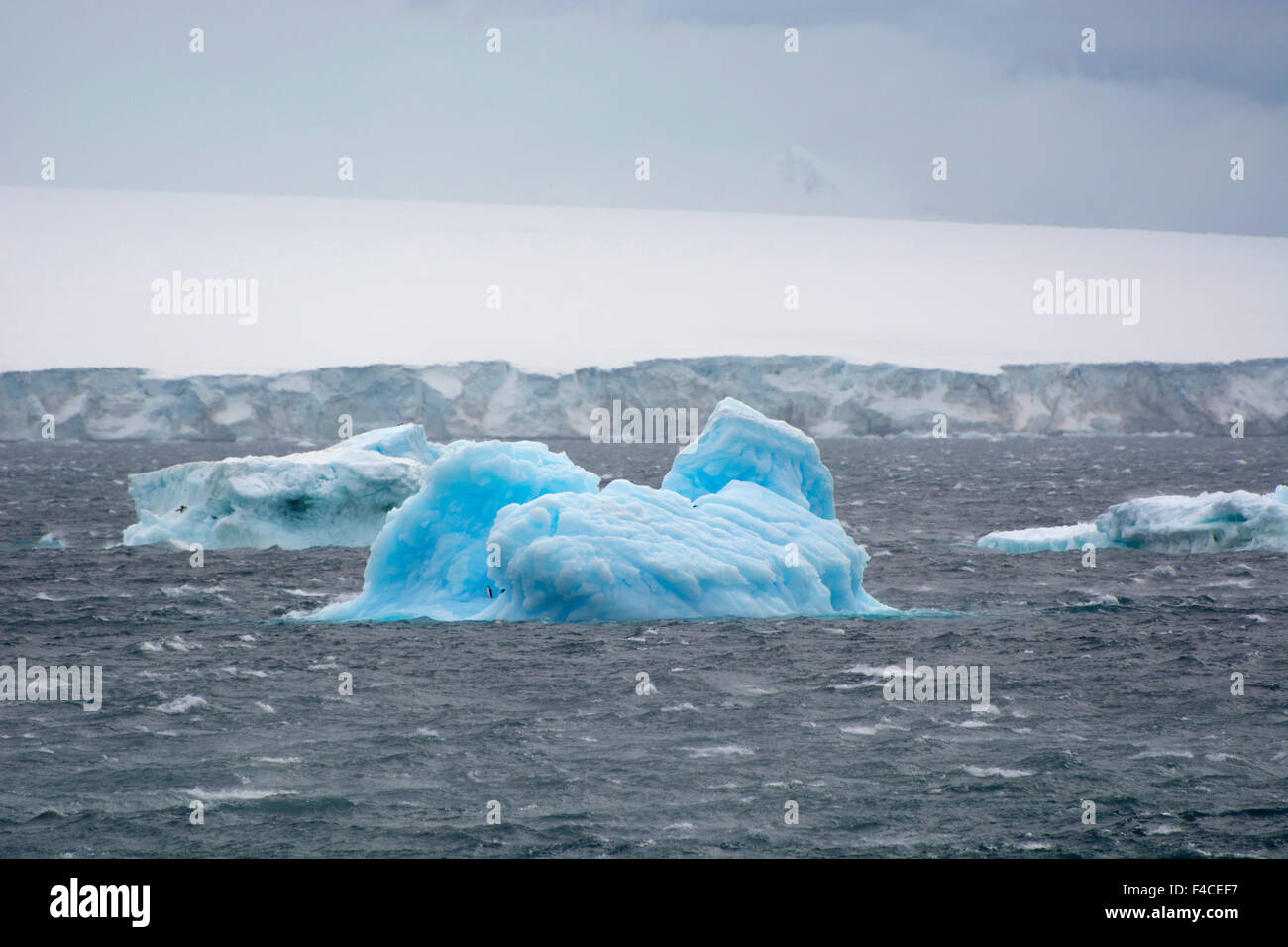 Antarctica. Brown Bluff. Bright blue iceberg Stock Photo - Alamy
