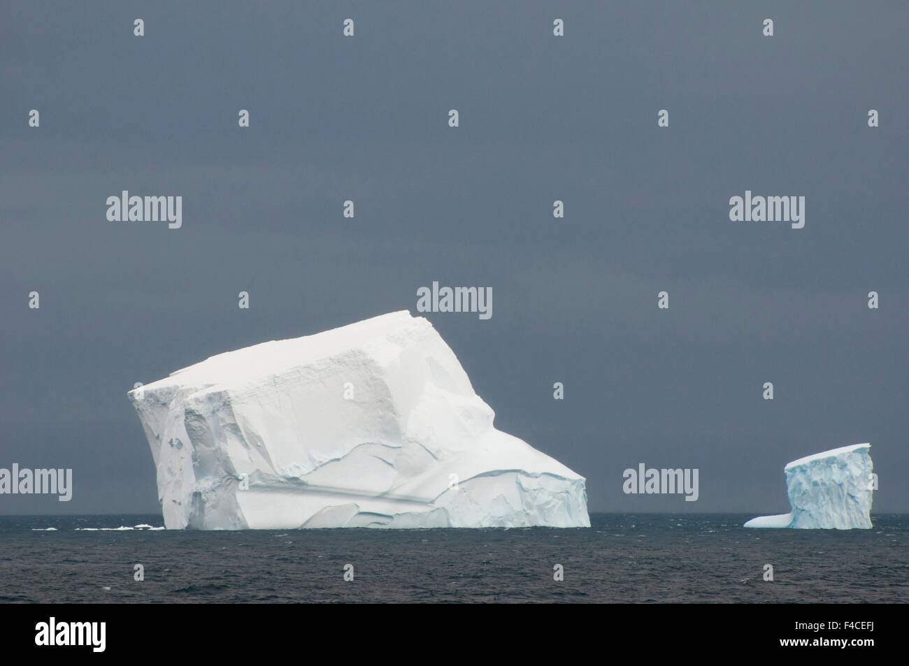 Antarctica. Bransfield Strait. Tabular iceberg Stock Photo - Alamy