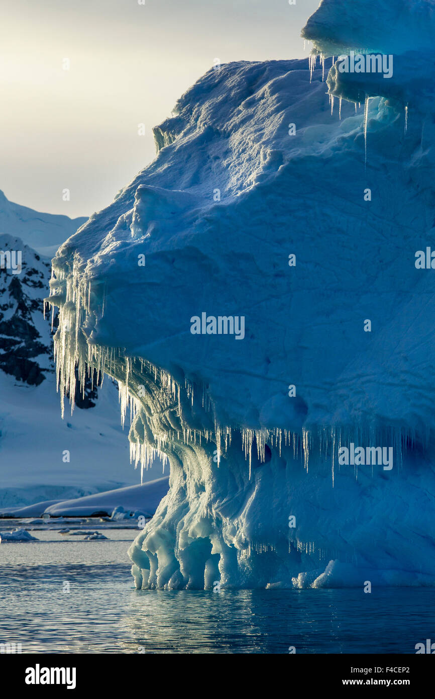 Antarctica, Morning sun lights icicles hanging from iceberg near ...