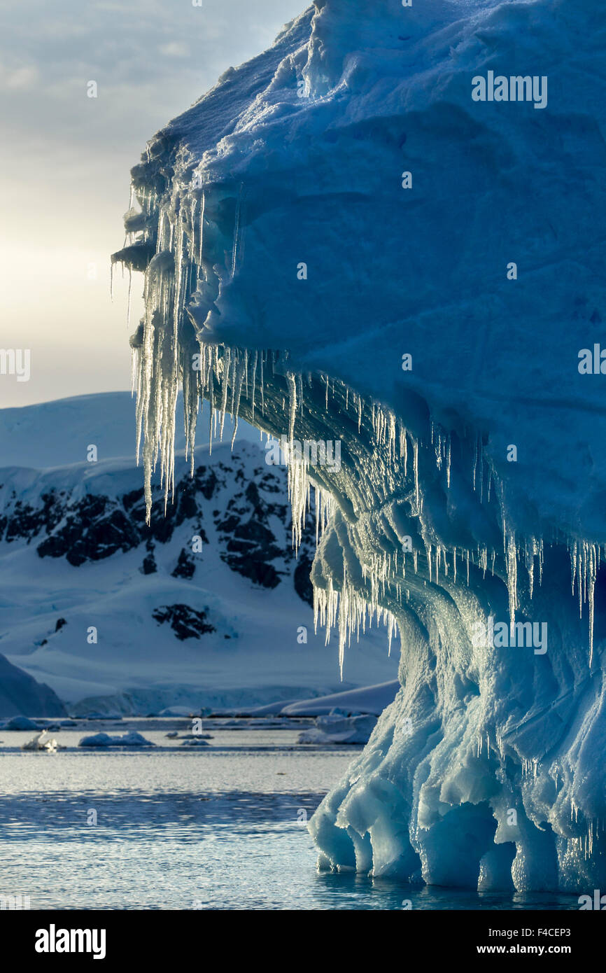 Antarctica, Morning sun lights icicles hanging from iceberg near ...