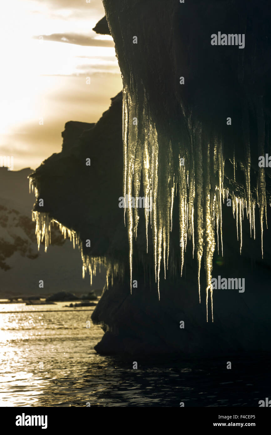 Antarctica, Morning sun lights icicles hanging from iceberg near ...