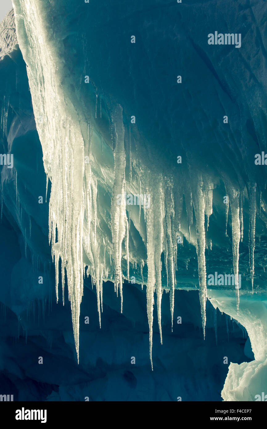 Antarctica, Morning sun lights icicles hanging from iceberg near ...