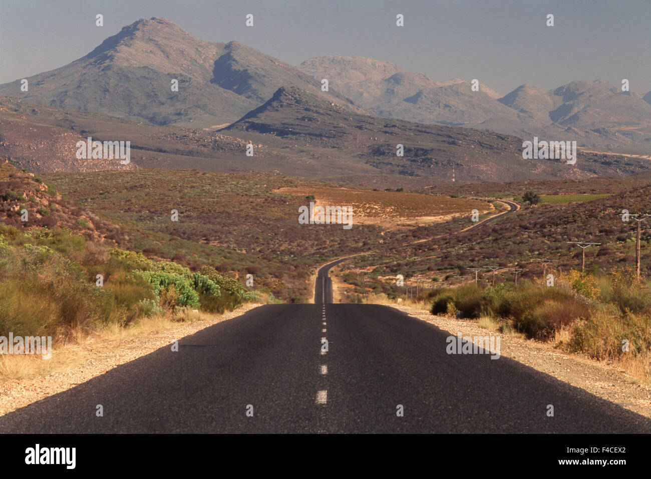 Citrusdal hi-res stock photography and images - Alamy