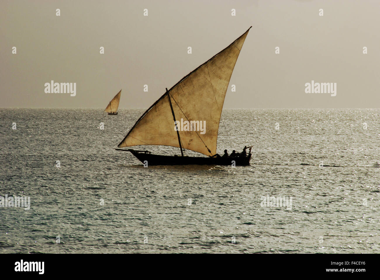 Tanzania, Zanzibar, Nungwi, traditional sailing boat on the turquoise ...