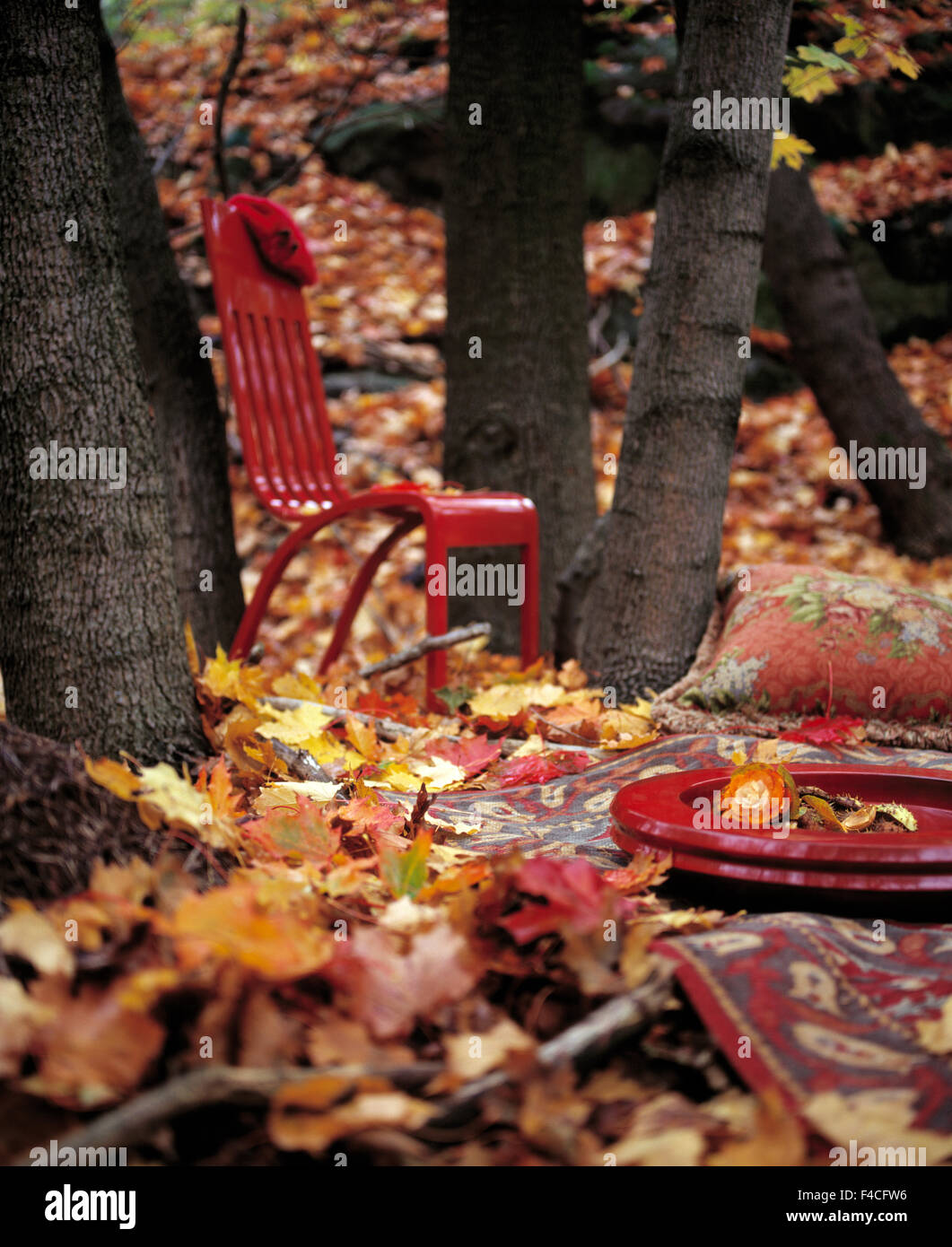A Red Chair among Autumn Leaves Stock Photo - Alamy