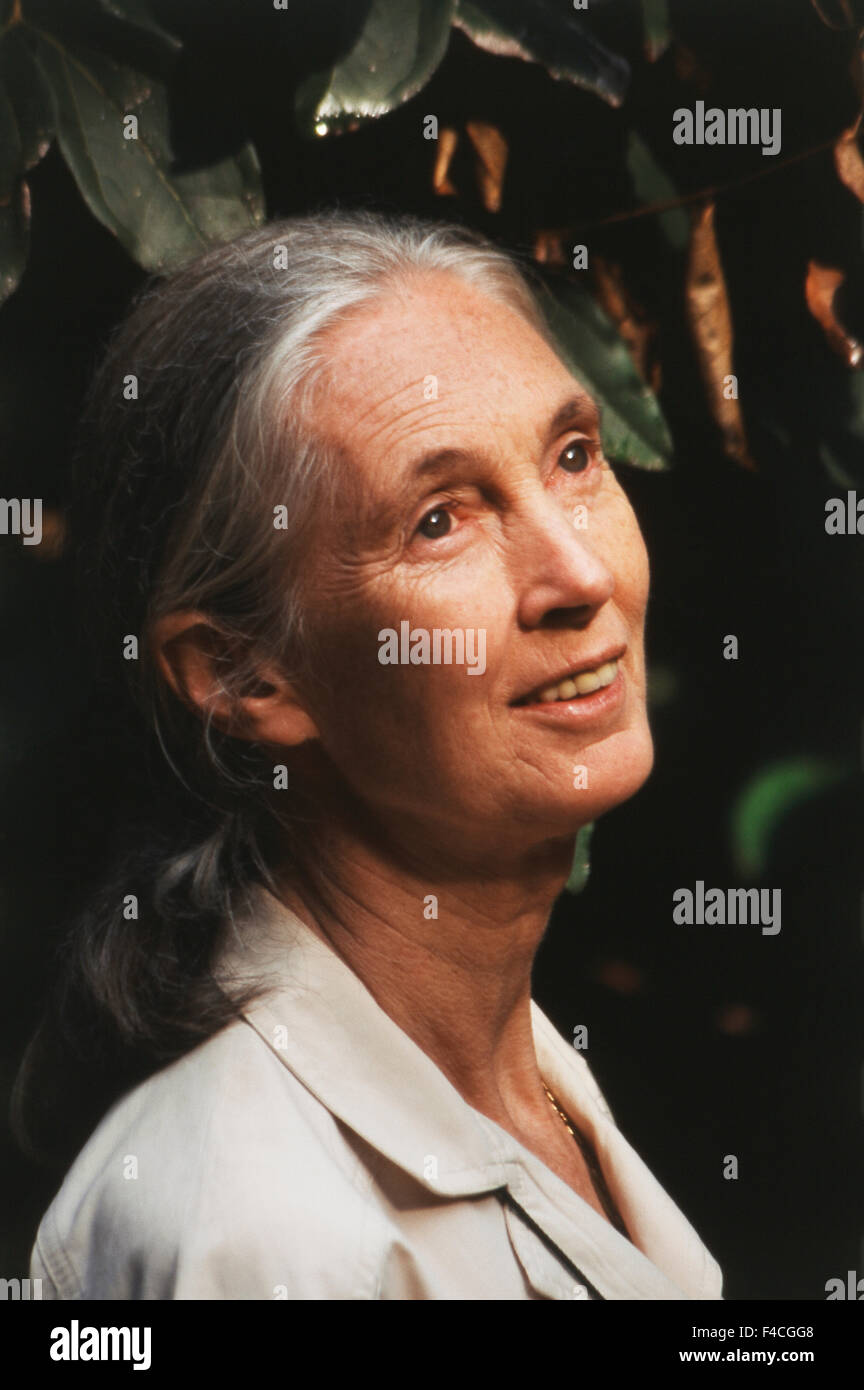 Jane goodall hi-res stock photography and images - Alamy