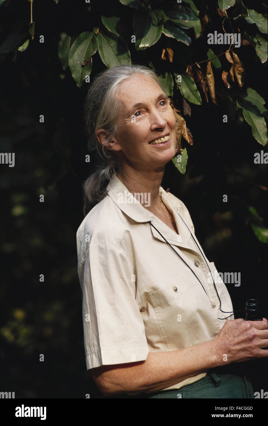 Jane goodall hi-res stock photography and images - Alamy