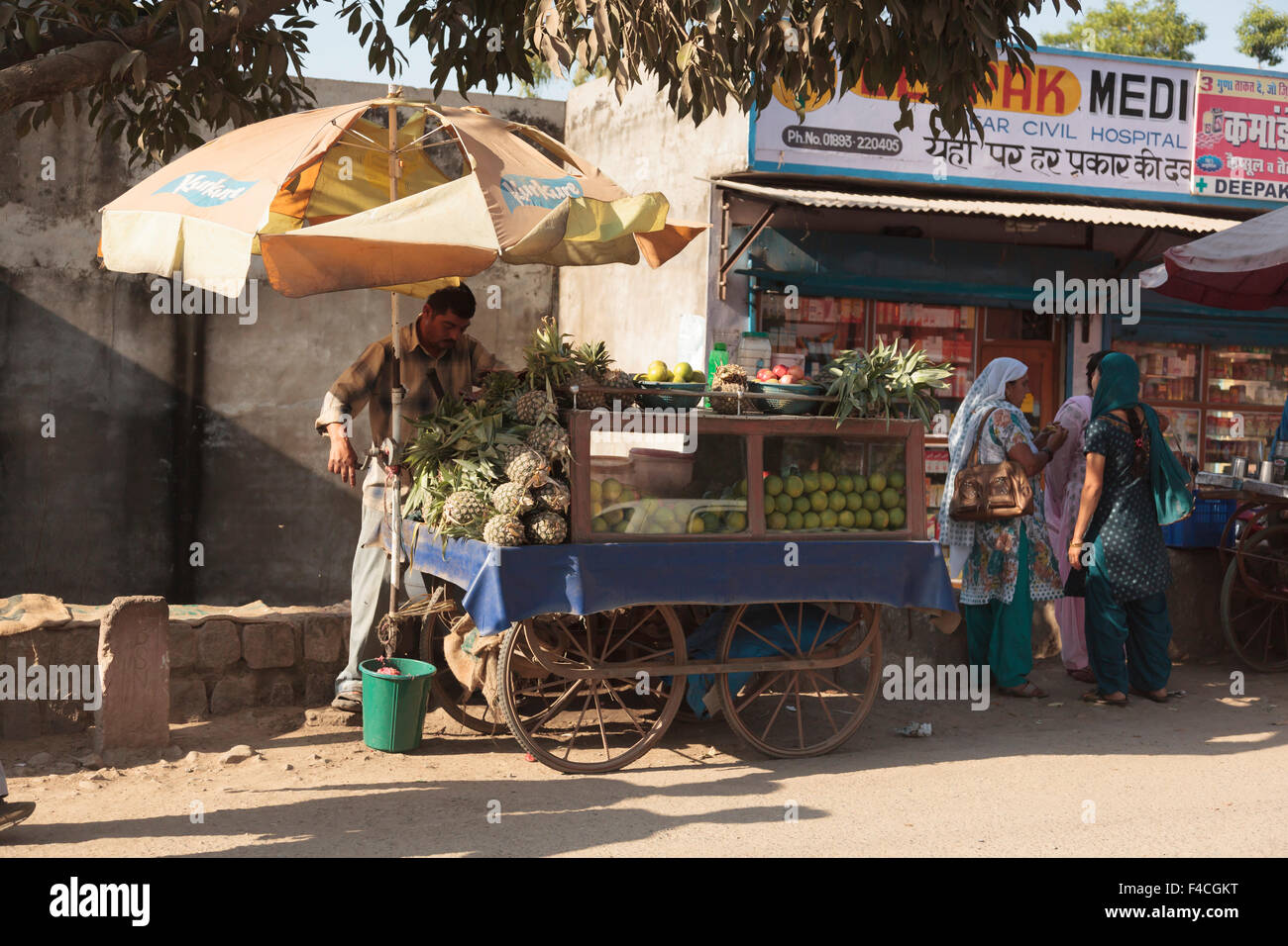 India, Himachal Pradesh. Man selling fruit at roadside market Stock ...