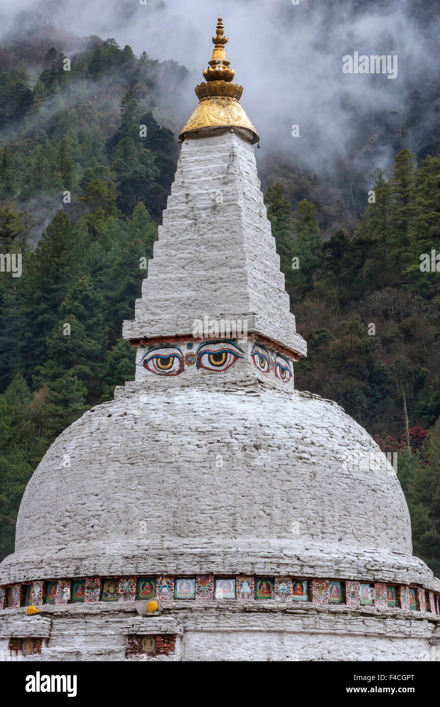 Bhutan, Himalaya, Stupa Stock Photo - Alamy