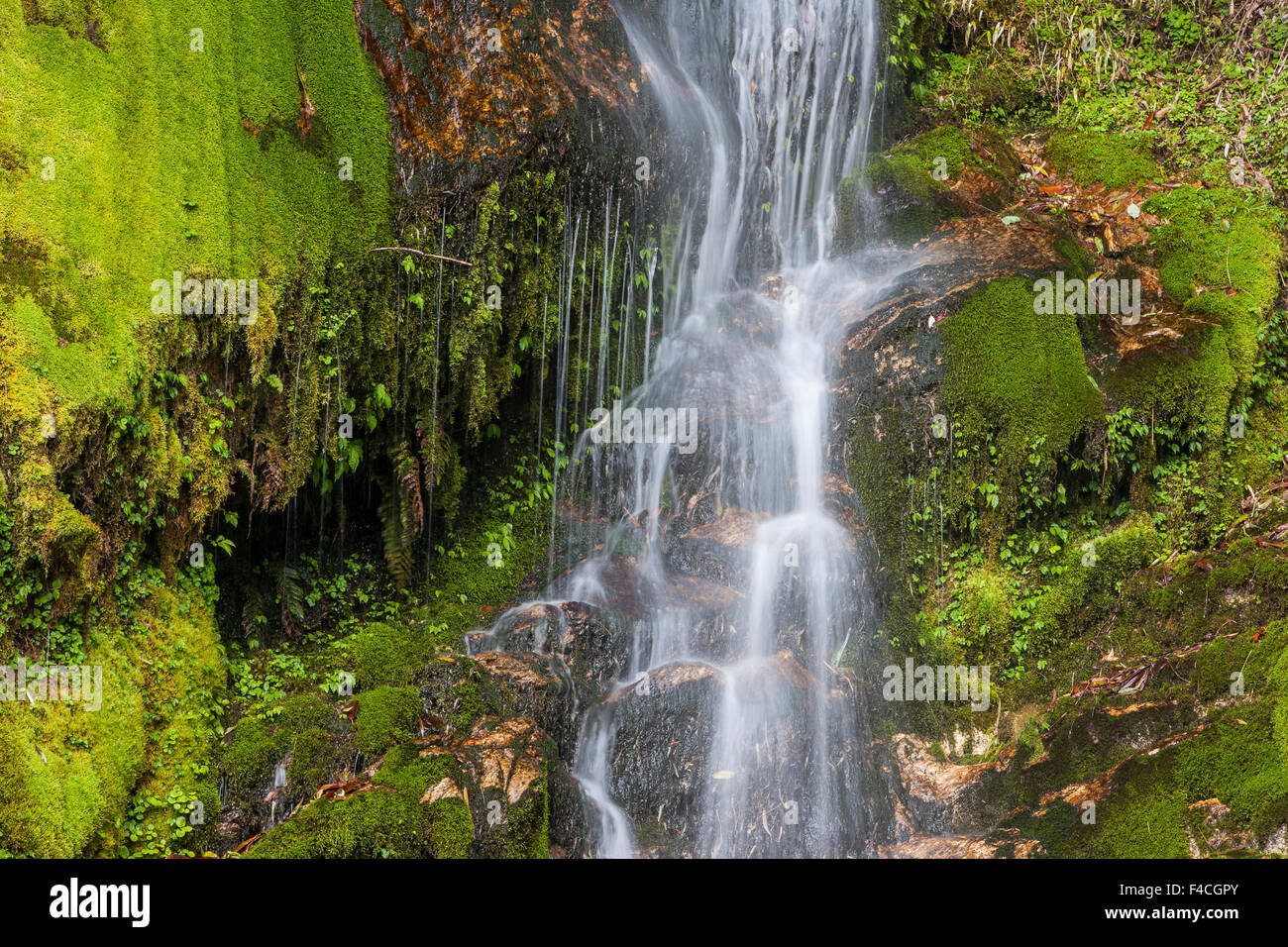 Bhutan, waterfall, Himalaya Stock Photo - Alamy