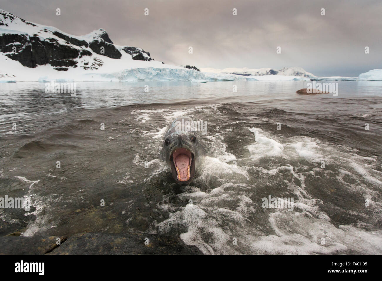 Lunging island hi-res stock photography and images - Alamy