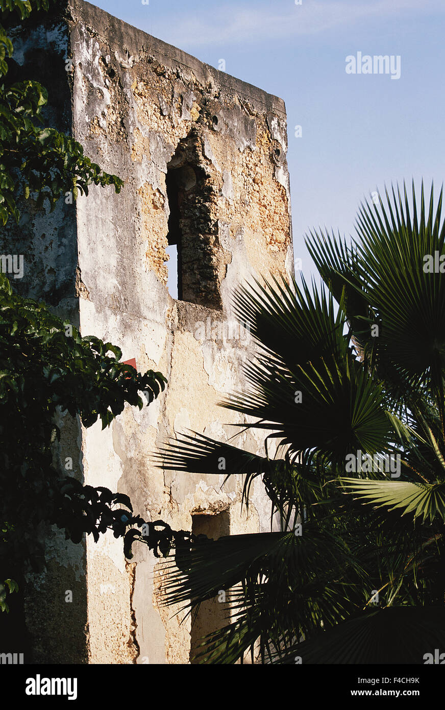 Tanzania, Zanzibar, Mbweni Ruins. old ruin wall. (Large format sizes ...
