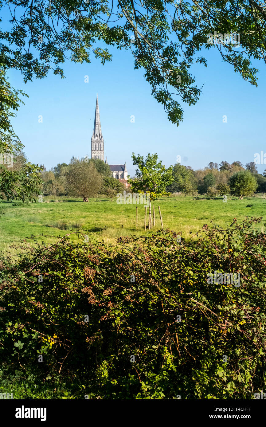 Salisbury Cathedral view from town path Salisbury across the water ...