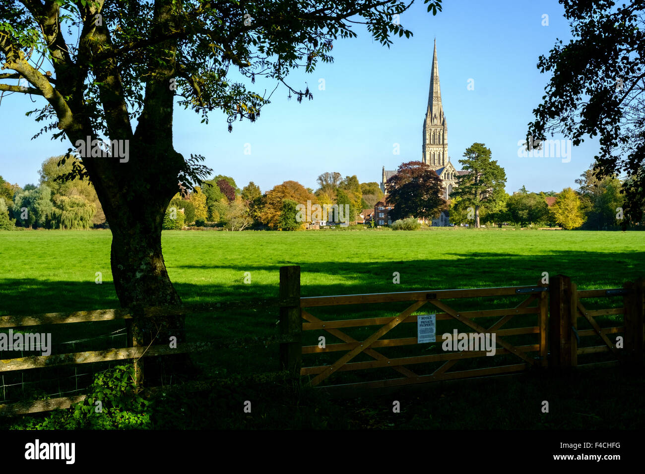 Cathedral from the water meadows salisbury hi-res stock photography and ...