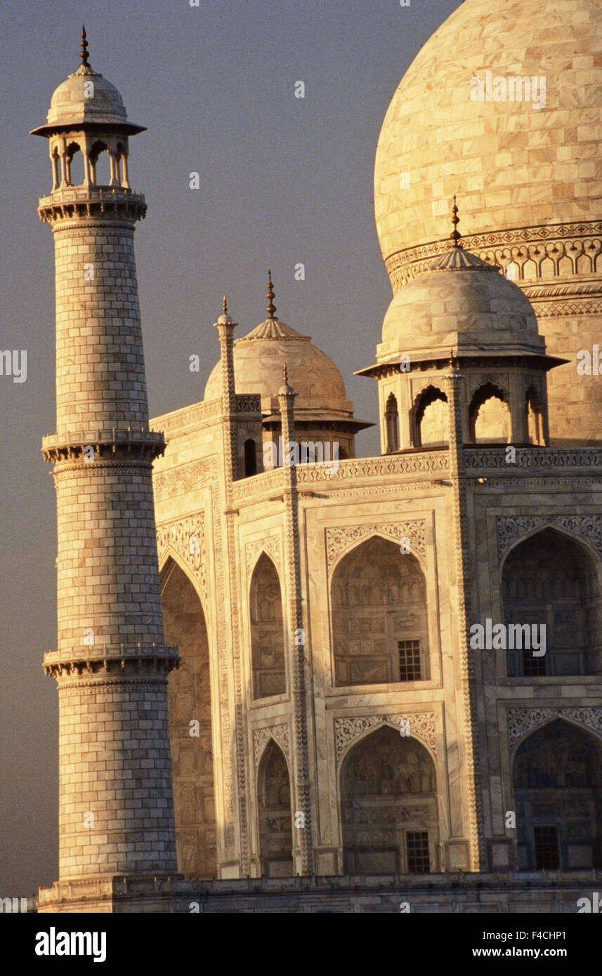 India, Agra. Taj Mahal, marble shrine, Shah Jahan's loving tribute in ...