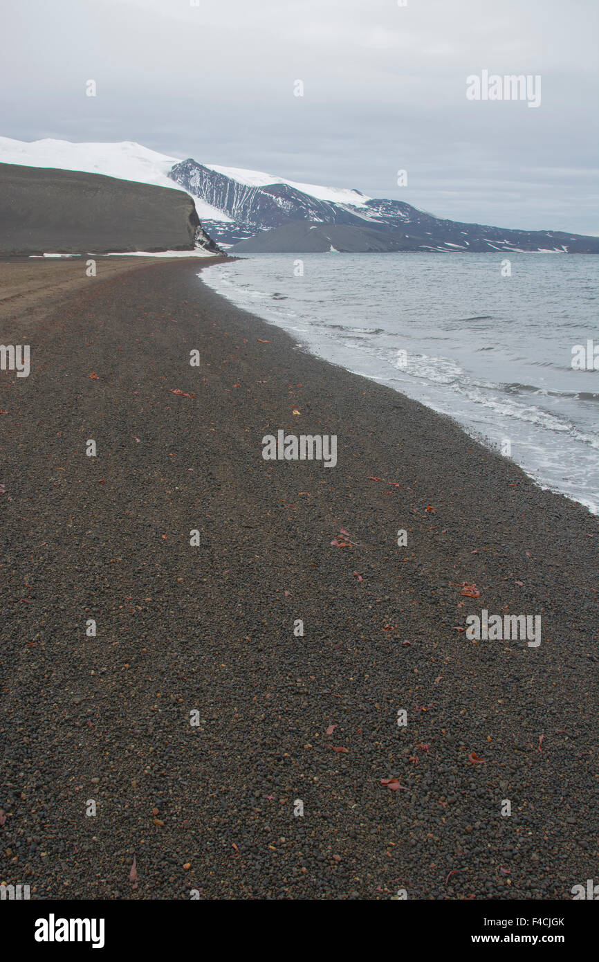 Antarctica. South Shetland Islands. Deception Island. Pebble shore ...